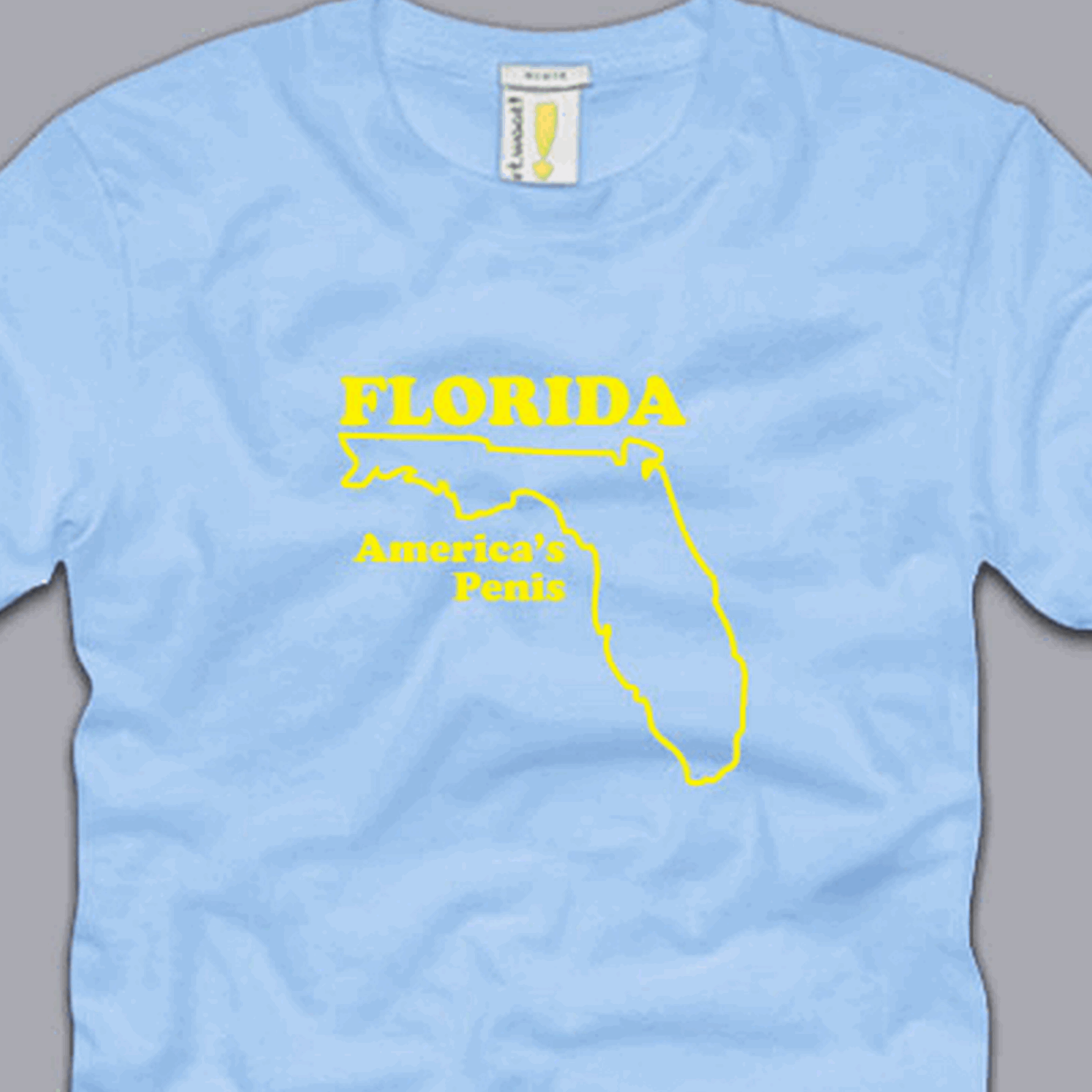 Florida Americas Penis T Shirt S M L Xl 2xl 3xl Funny Rude Cool Adult
